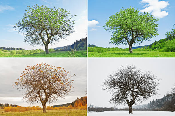 Change of Season Quotes | Changing Seasons Quotes | Loveable